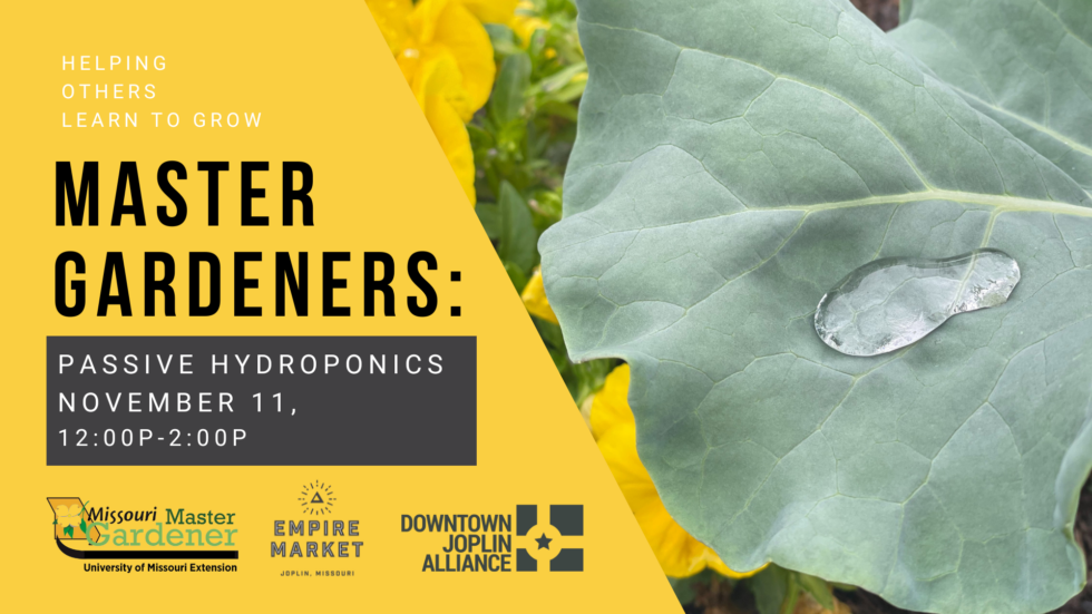 Adult Gardening Class--Passive Hydroponics – Downtown Joplin Alliance